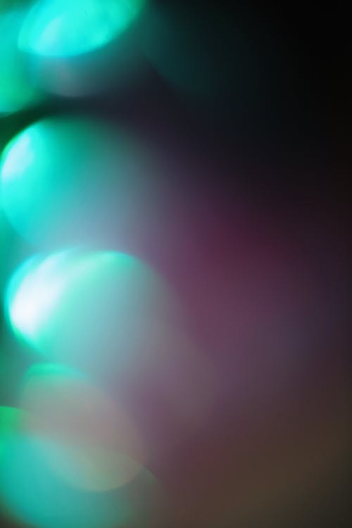 Creating a full-stack kanban board: the Vue SPA frontend | Woet Flow